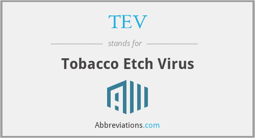 What does TEV stand for?