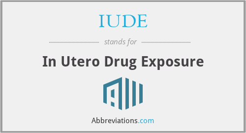 What does IUDE stand for?