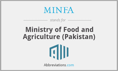 What does MINFA stand for?