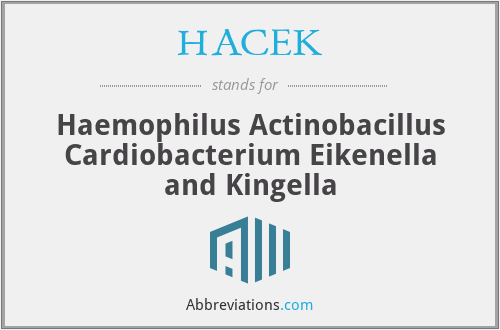 What does HACEK stand for?