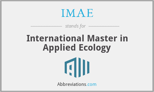 What does IMAE stand for?