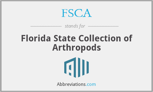 What does FSCA stand for?