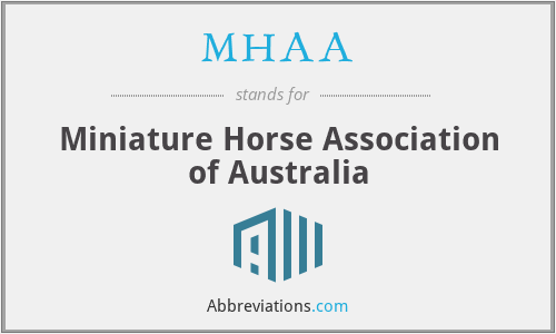 MHAA - Miniature Horse Association of Australia