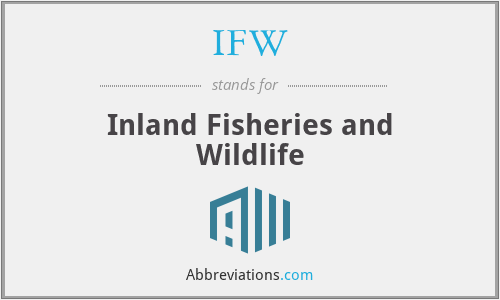 What does IFW stand for?