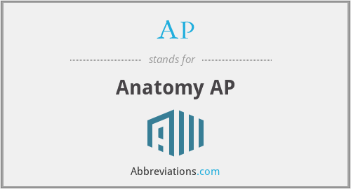 What is the abbreviation for anatomy ap?