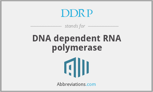 What does DDRP stand for?