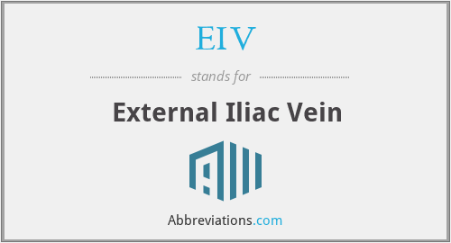 What does EIV stand for?