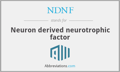 What does NDNF stand for?