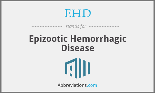 What does EHD stand for?