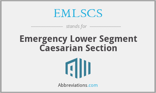 What does EMLSCS stand for?