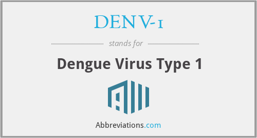 What does DENV-1 stand for?