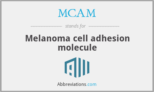 What does MCAM stand for?