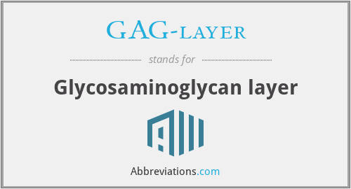 What does GAG-LAYER stand for?