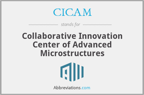 What does CICAM stand for?