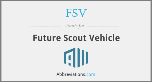 What does FSV stand for?