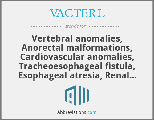 VACTERL - Vertebral anomalies, Anorectal malformations, Cardiovascular ...
