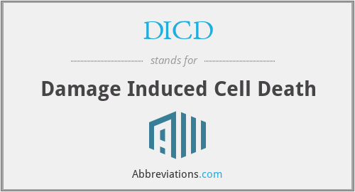 What does DICD stand for?