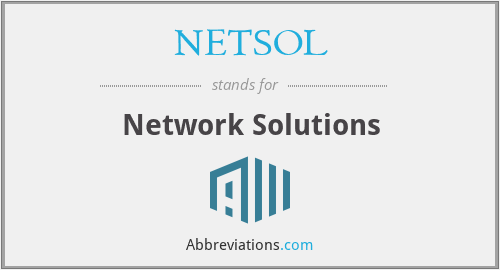 What does NETSOL stand for?
