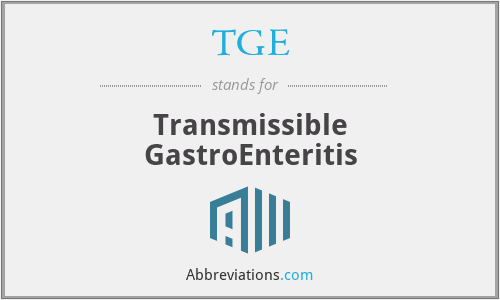 What does TGE stand for?