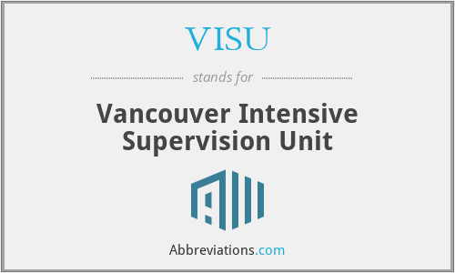 What does VISU stand for?