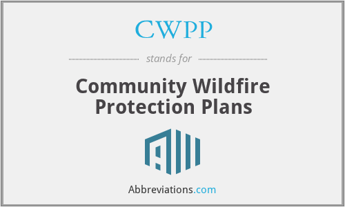 What does CWPP stand for?