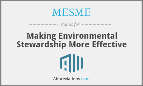 What does MESME stand for?