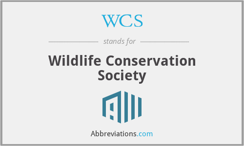 What does WCS stand for?