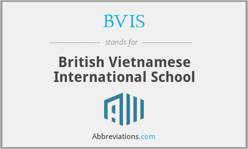 What does BVIS stand for?