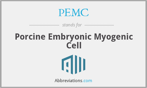 What does PEMC stand for?