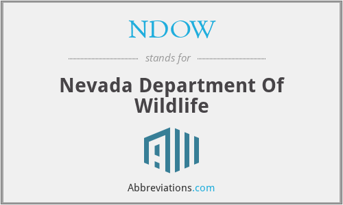 What does NDOW stand for?