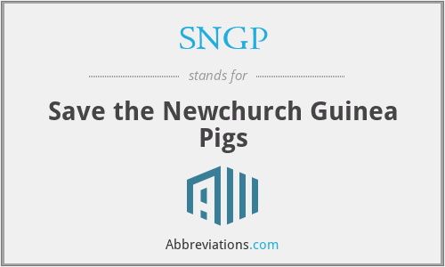 What does SNGP stand for?