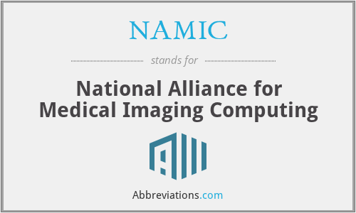 What does NAMIC stand for?