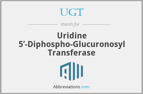 What does UGT stand for?