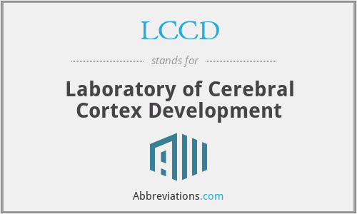 LCCD - Laboratory of Cerebral Cortex Development