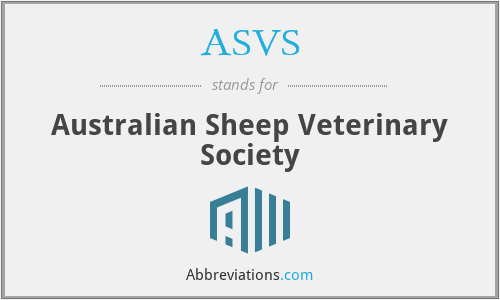 What does ASVS stand for?