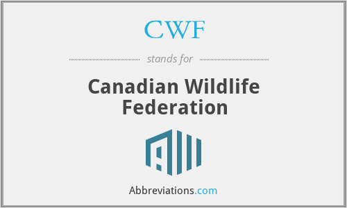 What does CWF stand for?