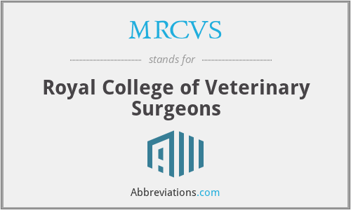 What does MRCVS stand for?