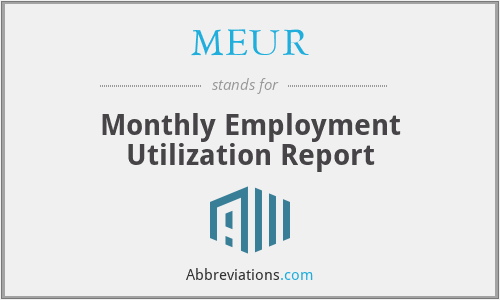 What does MEUR stand for?