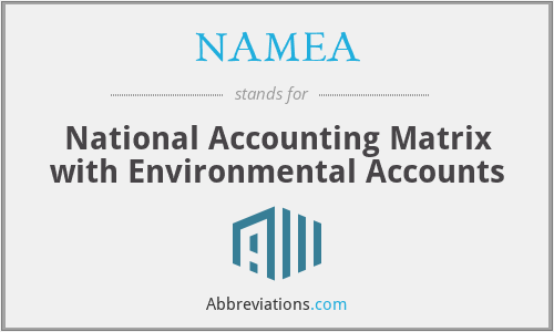 What does NAMEA stand for?