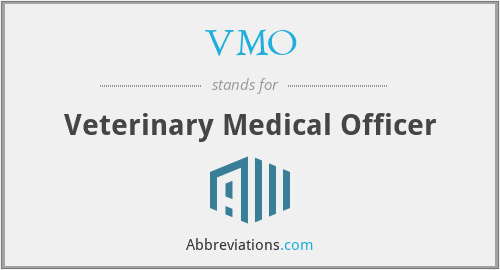 What does VMO stand for?