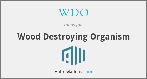 What does WDO stand for?