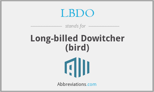 What does LBDO stand for?