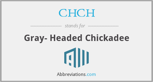 What does CHCH stand for?