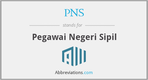 What does PNS stand for?