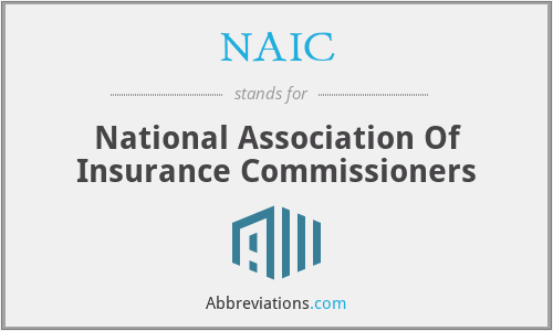 What does NAIC stand for?