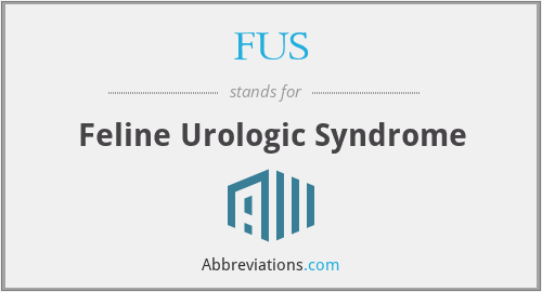 What does FUS stand for?
