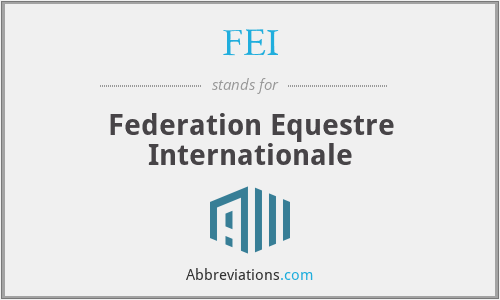 What does FEI stand for?