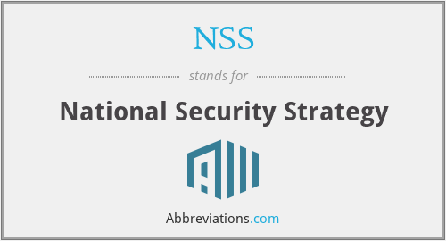 What does NSS stand for?