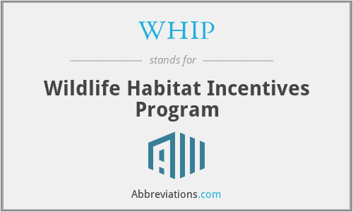 What does WHIP stand for?