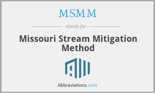 What does MSMM stand for?